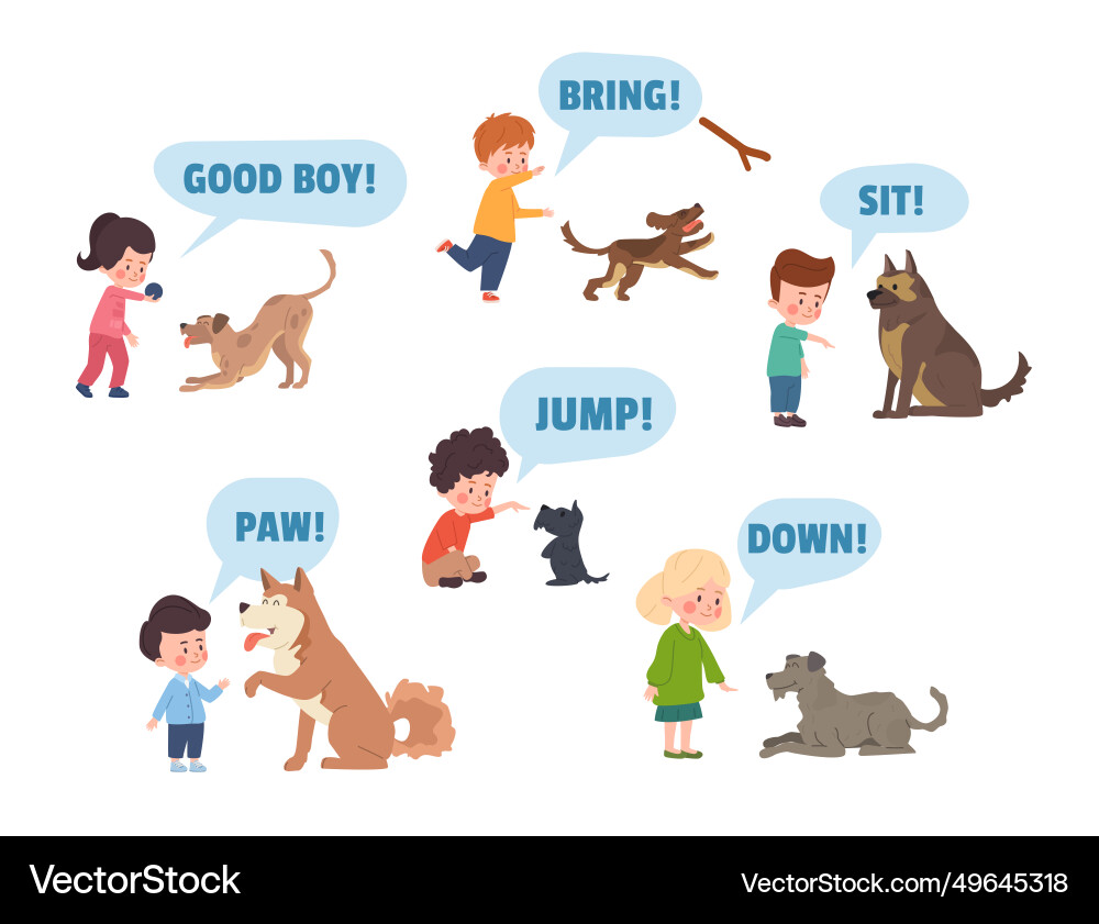 Dog training commands infographic set flat cartoon