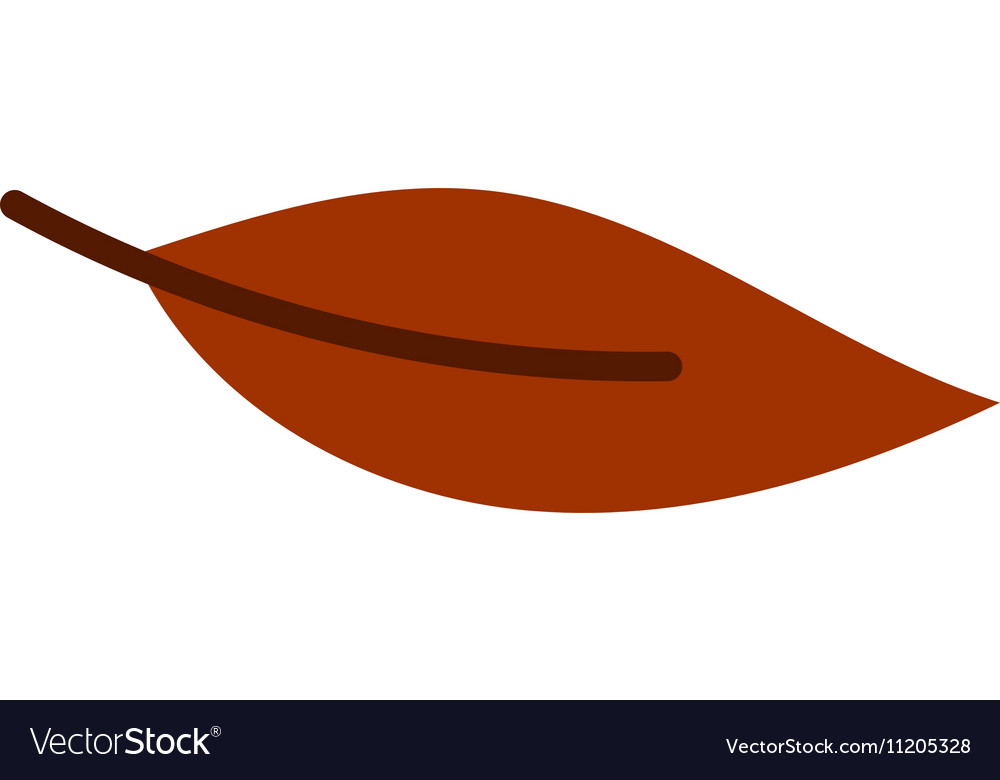 Autumn leaf Royalty Free Vector Image - VectorStock
