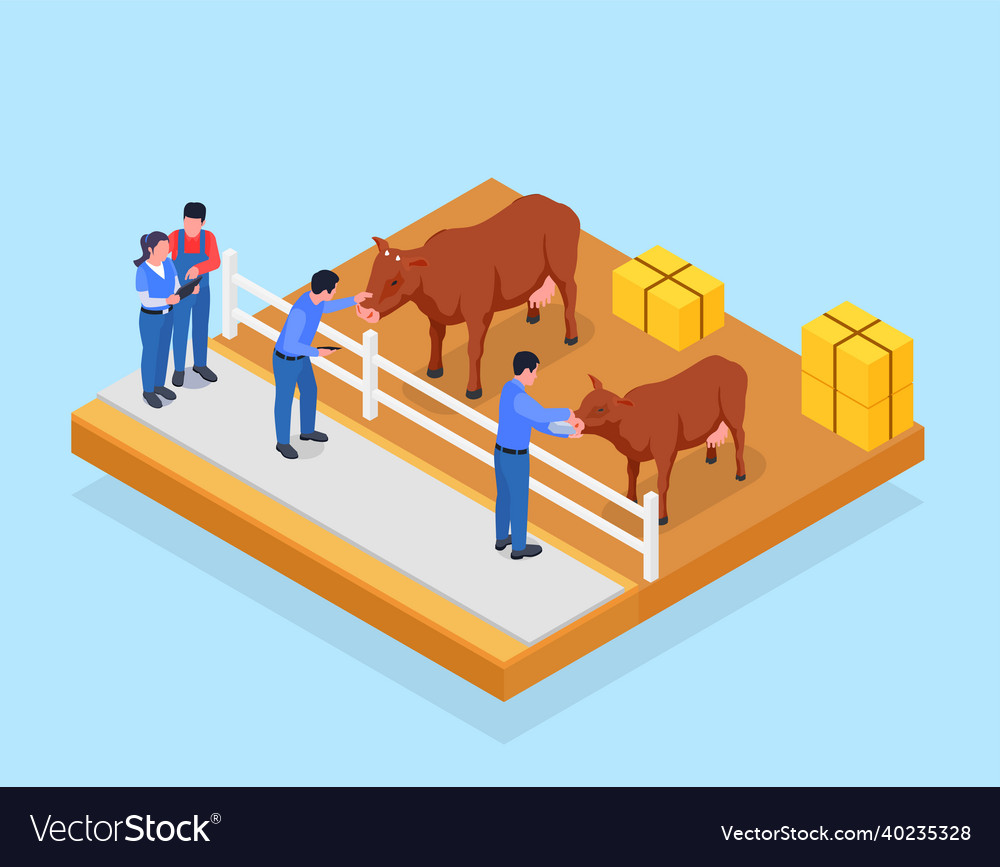 Farm animals veterinary isometric composition Vector Image Farm animals veterinary isometric composition Vector Image
