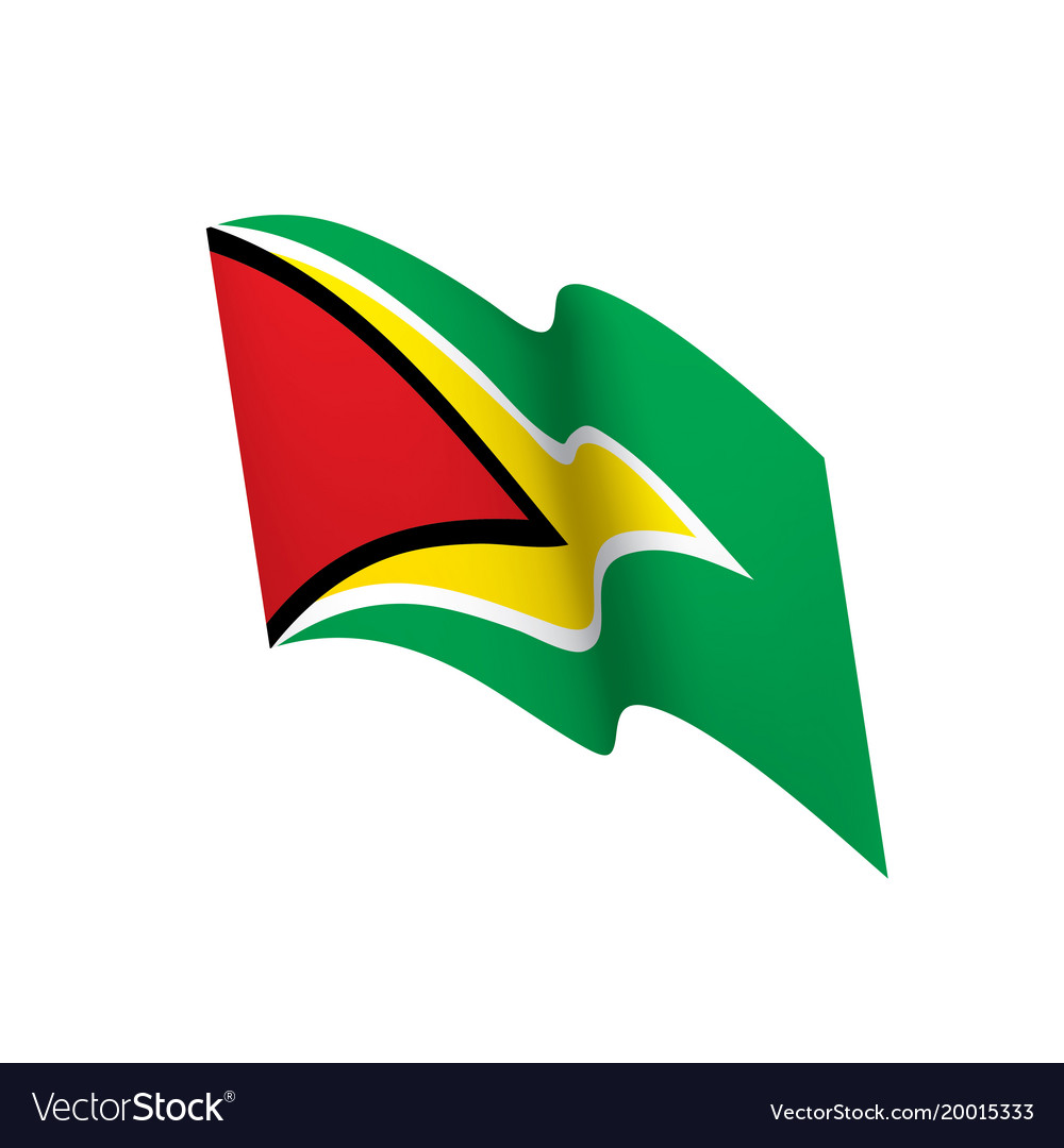 Guyana flag Royalty Free Vector Image - VectorStock