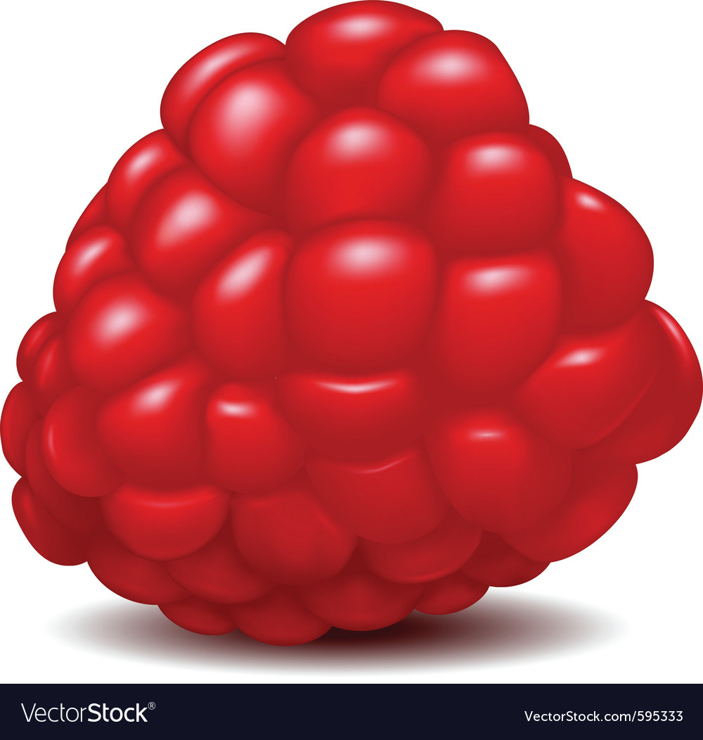 Raspberry Royalty Free Vector Image - VectorStock