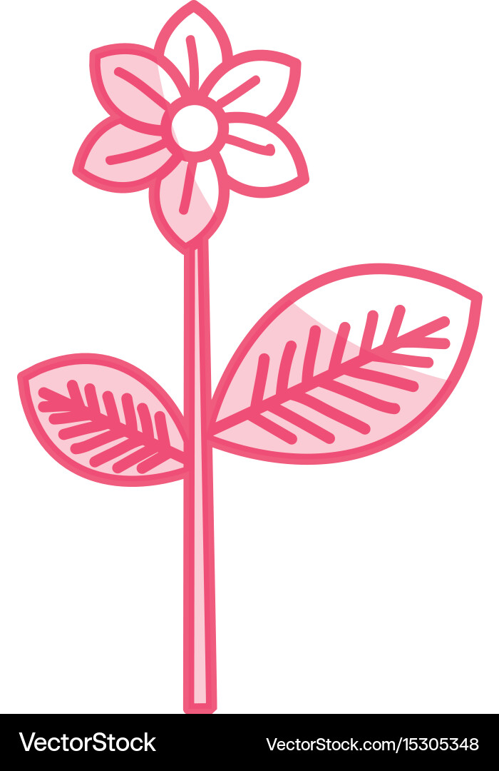 Beautiful flowers decorative icon Royalty Free Vector Image
