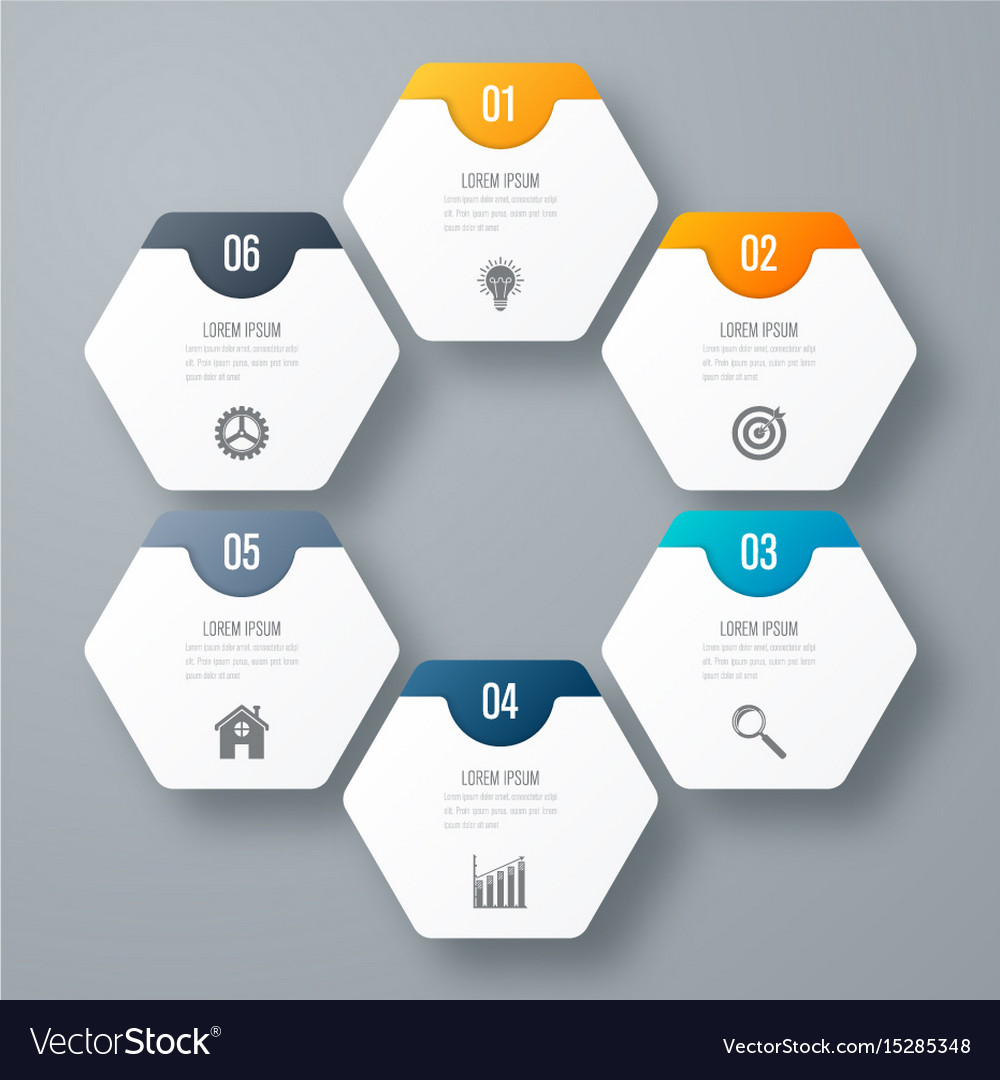 Infographics template 6 options with hexagon Vector Image