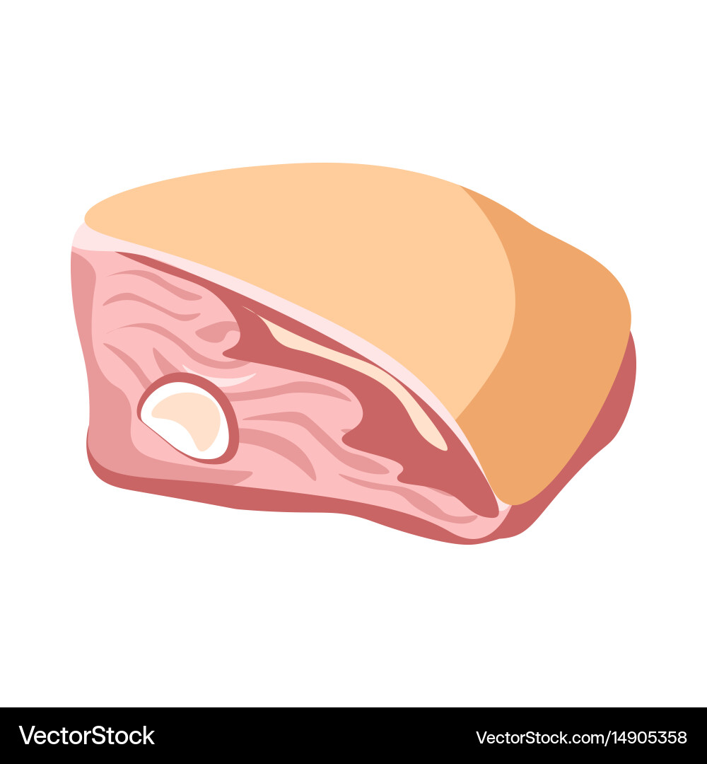 Piece of raw pork Royalty Free Vector Image - VectorStock