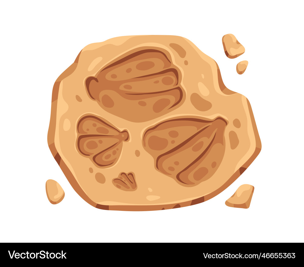 Fossil rock with sea shell imprint archaeology Vector Image