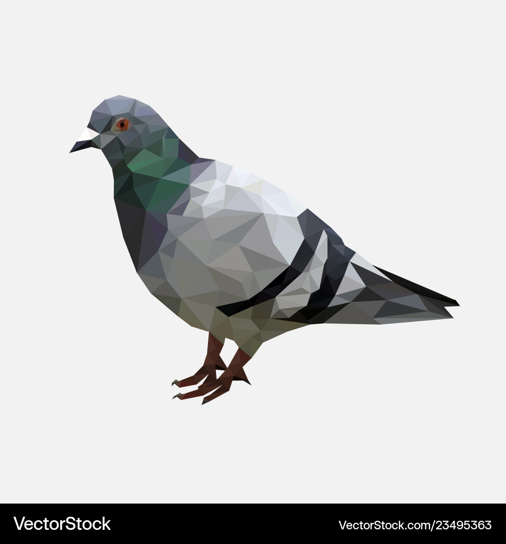 Low poly pigeon bird on gray back groundanimal Vector Image