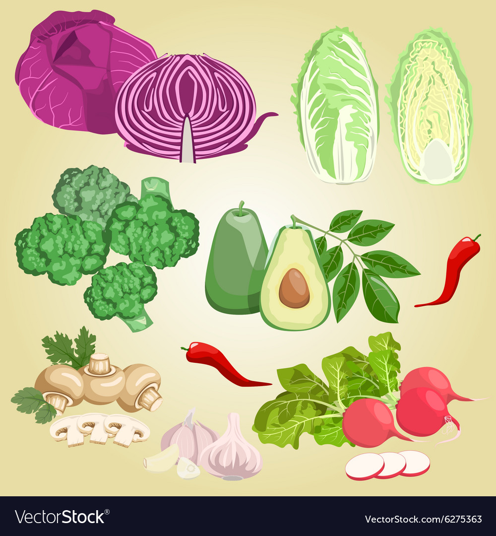 Set of vegetables Royalty Free Vector Image - VectorStock