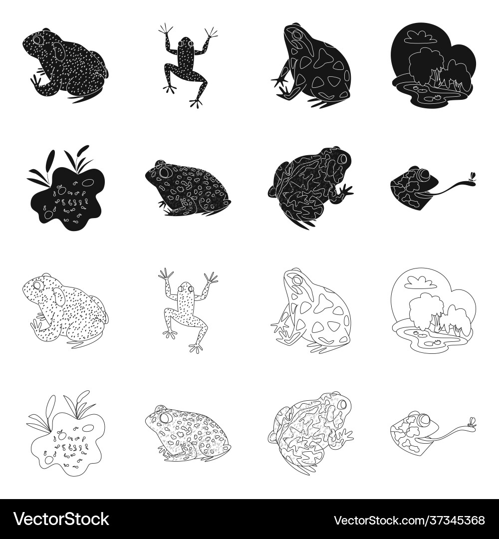 Design wildlife and bog icon collection Royalty Free Vector