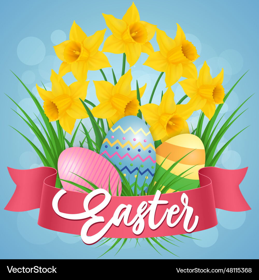 Easter with narcissus eggs and band Royalty Free Vector