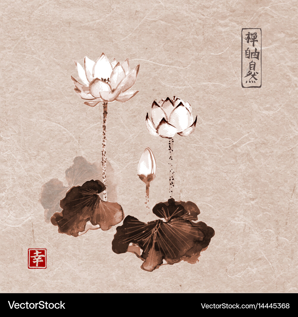 Lotus flowers hand drawn with ink Royalty Free Vector Image