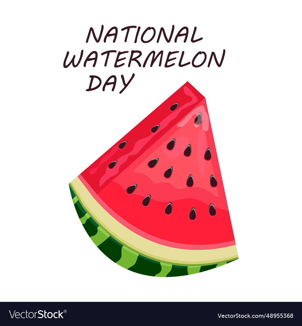 National watermelon day banner Royalty Free Vector Image