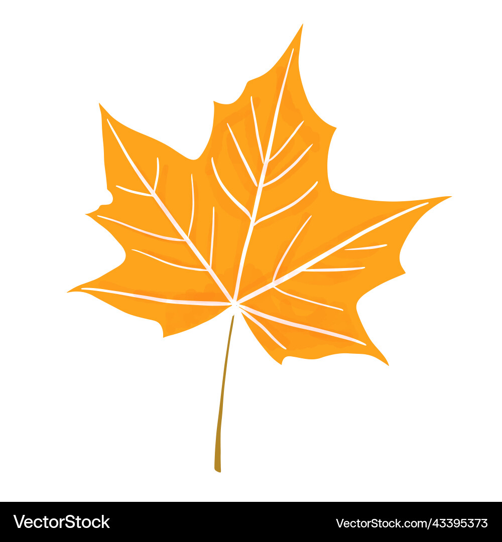 Bright yellow artistic maple leaf with watercolor Vector Image