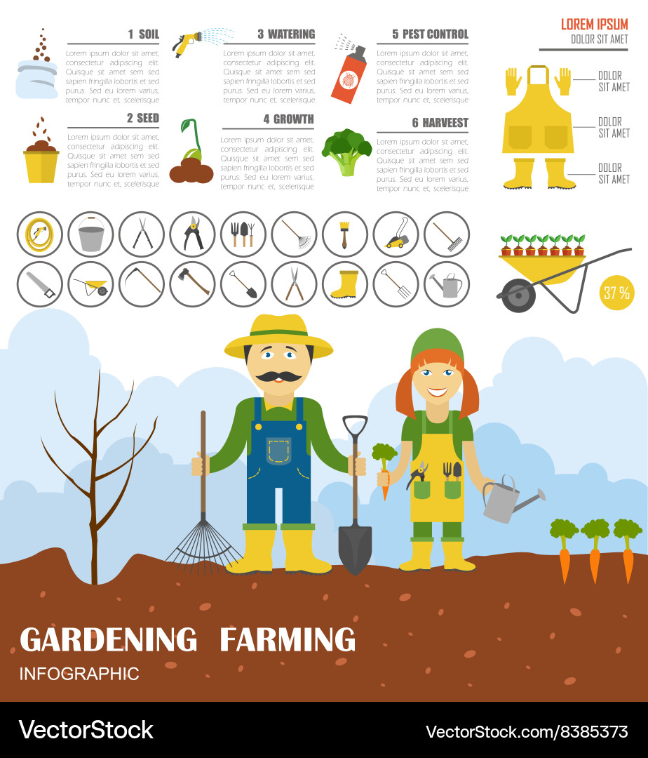 Gardening work farming infographic Graphic Vector Image