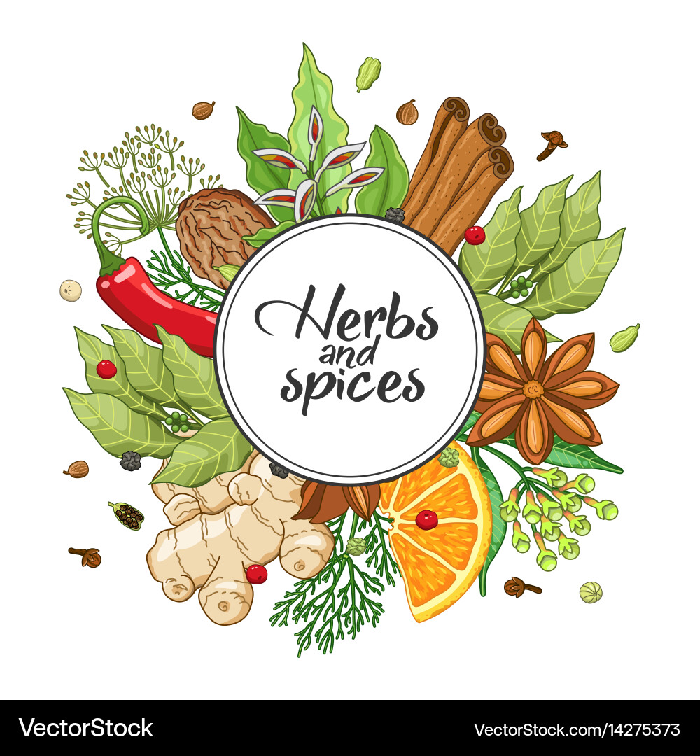 Winter round design with spices and herbs Vector Image