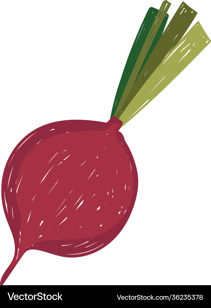 Healthy food vegetable beetroot flat icon style Vector Image