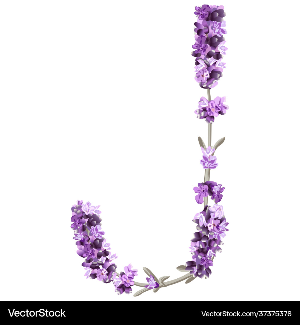 Image capital letter j english Royalty Free Vector Image