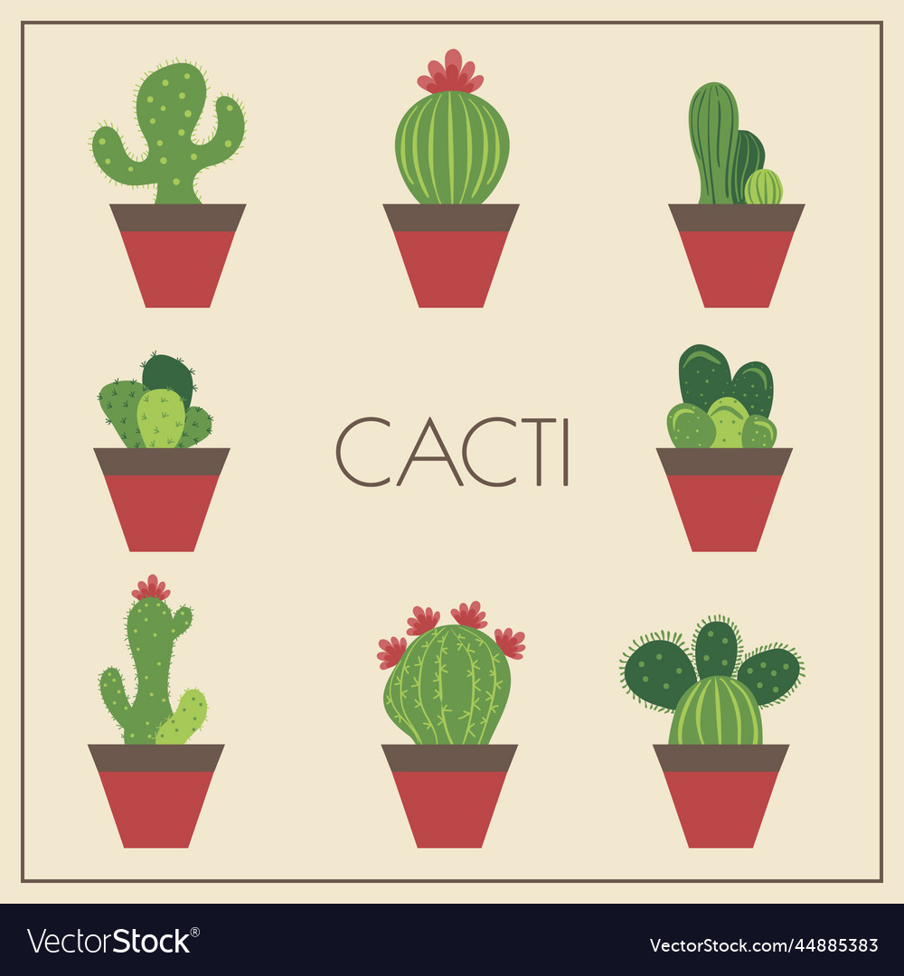 Cacti Royalty Free Vector Image - VectorStock