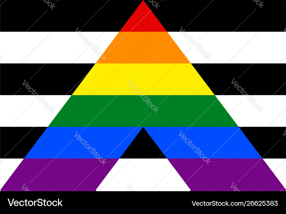 Flag rectangular shape icon on white background Vector Image