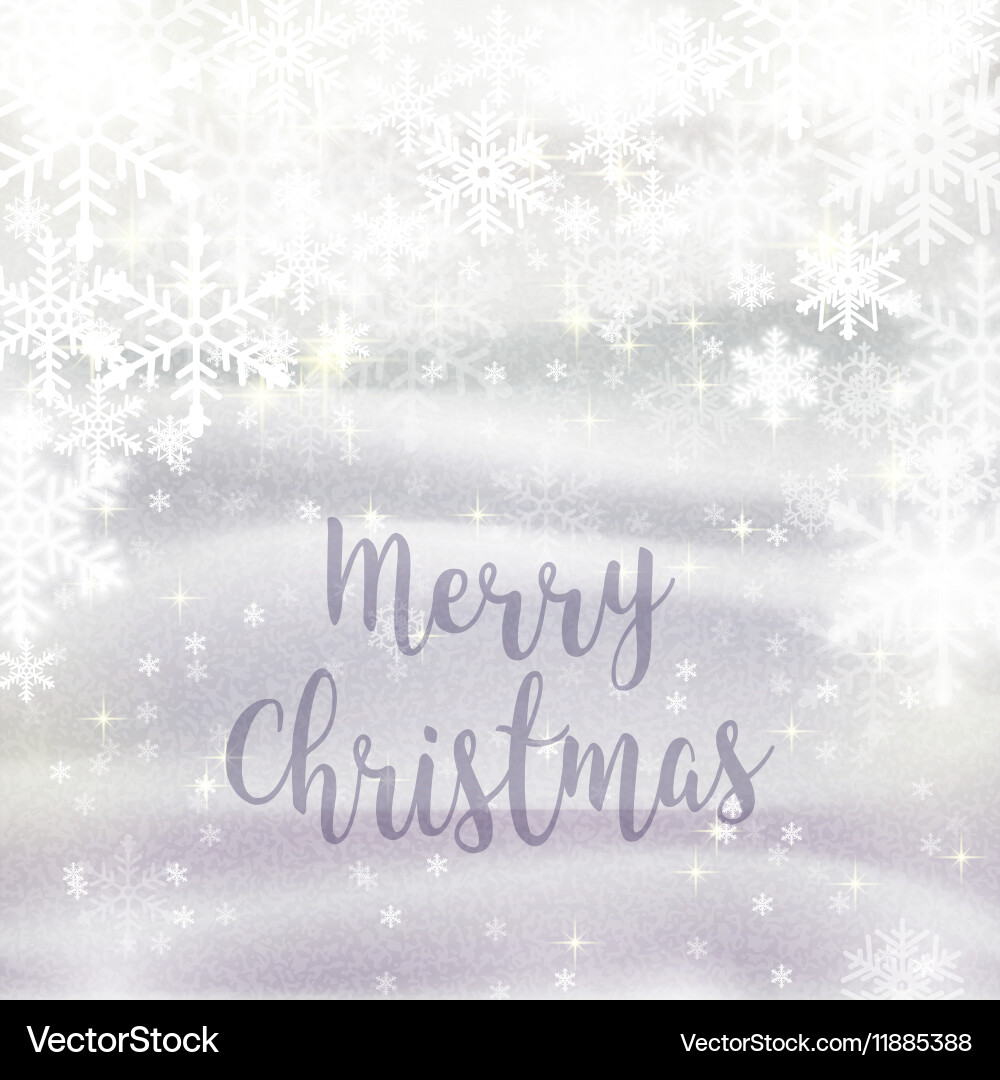 Beautiful abstract snowflake christmas background Vector Image