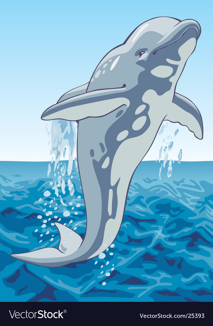 Dolphin Royalty Free Vector Image - VectorStock