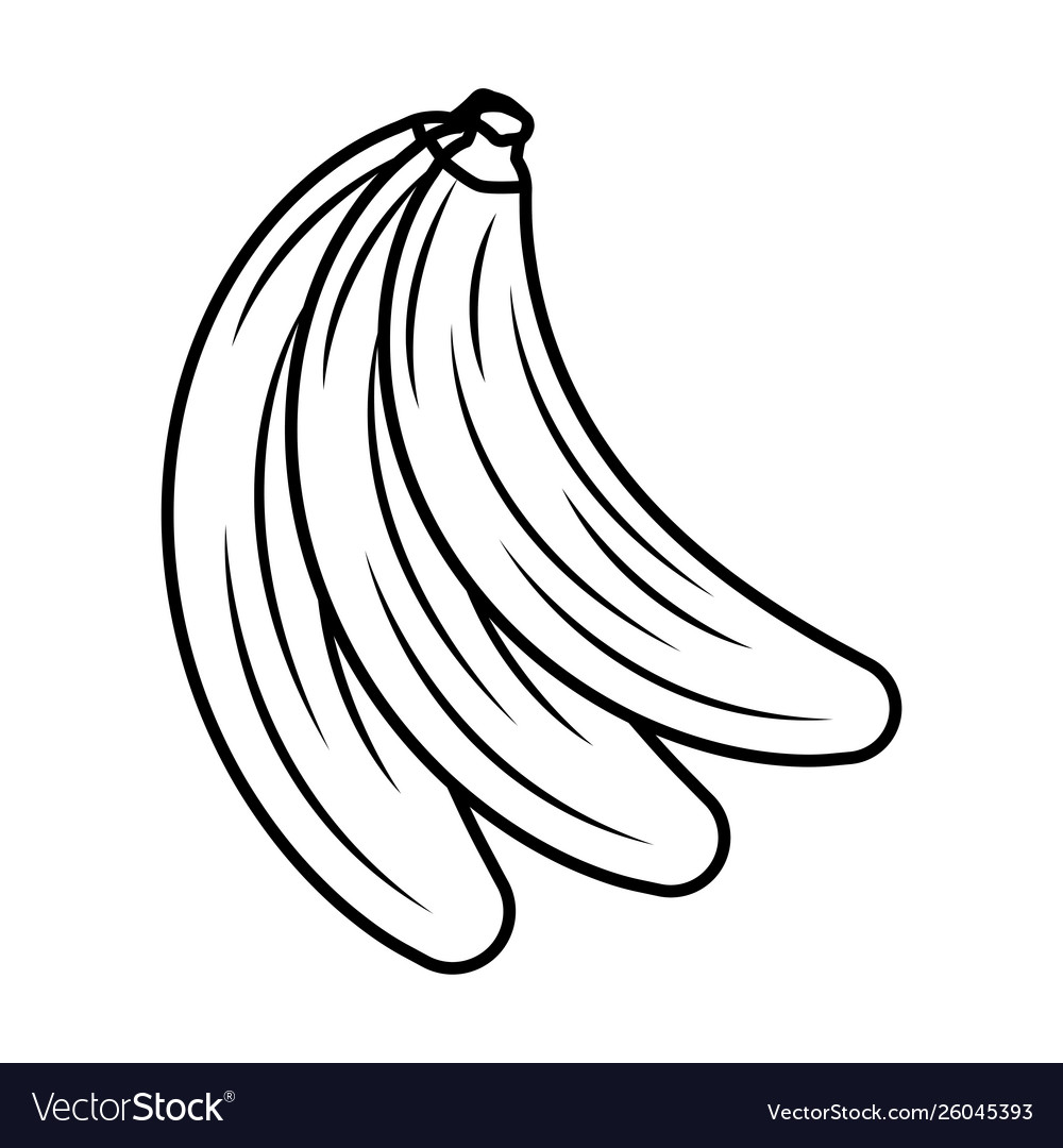Fresh bananas fruits healthy isolated icons Vector Image