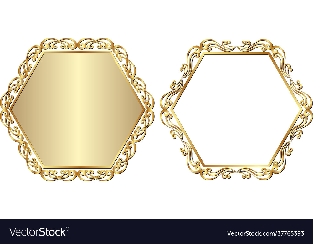 Hexagonal frame Royalty Free Vector Image - VectorStock