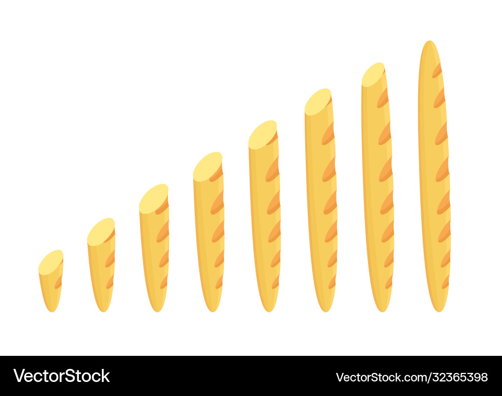 Cut baguette size bakery bread variety long Vector Image