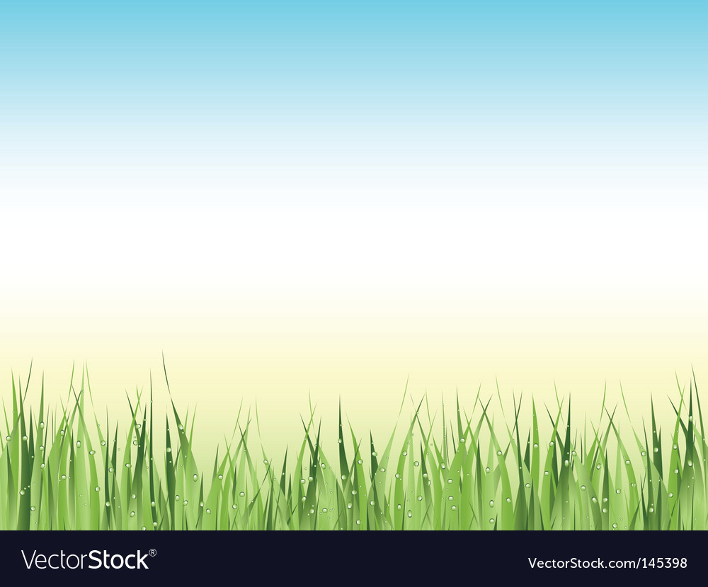 Grass Royalty Free Vector Image - VectorStock