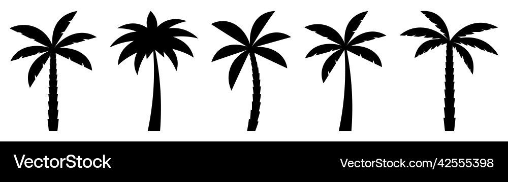Palm icons set isolated on white Royalty Free Vector Image