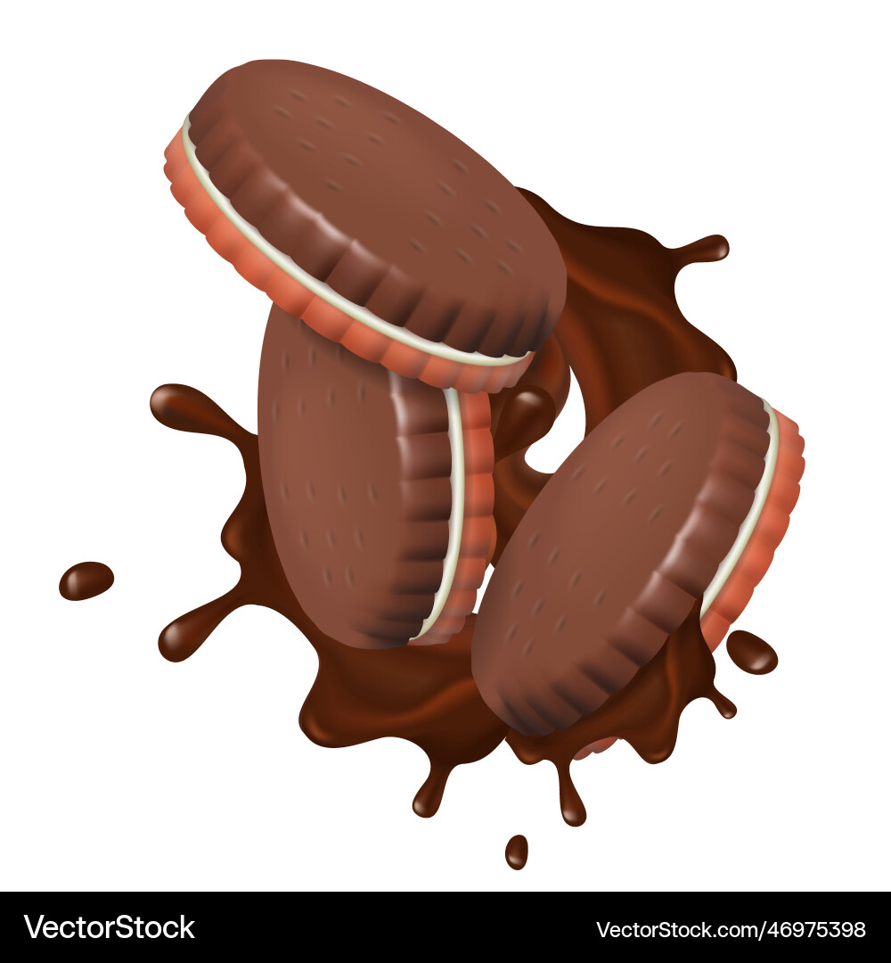 Realistic cookies and crackers with splashes Vector Image