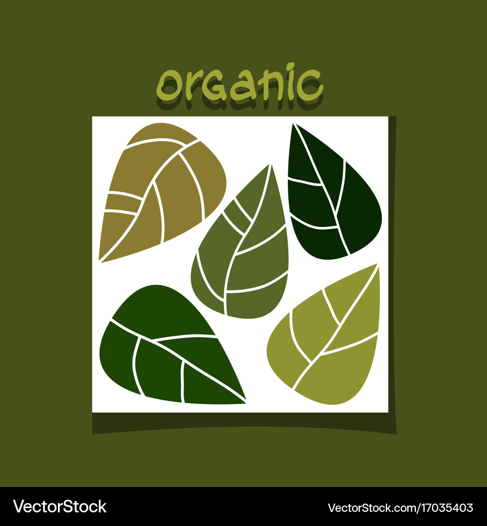 Abstract simple design with green leaves organic Vector Image