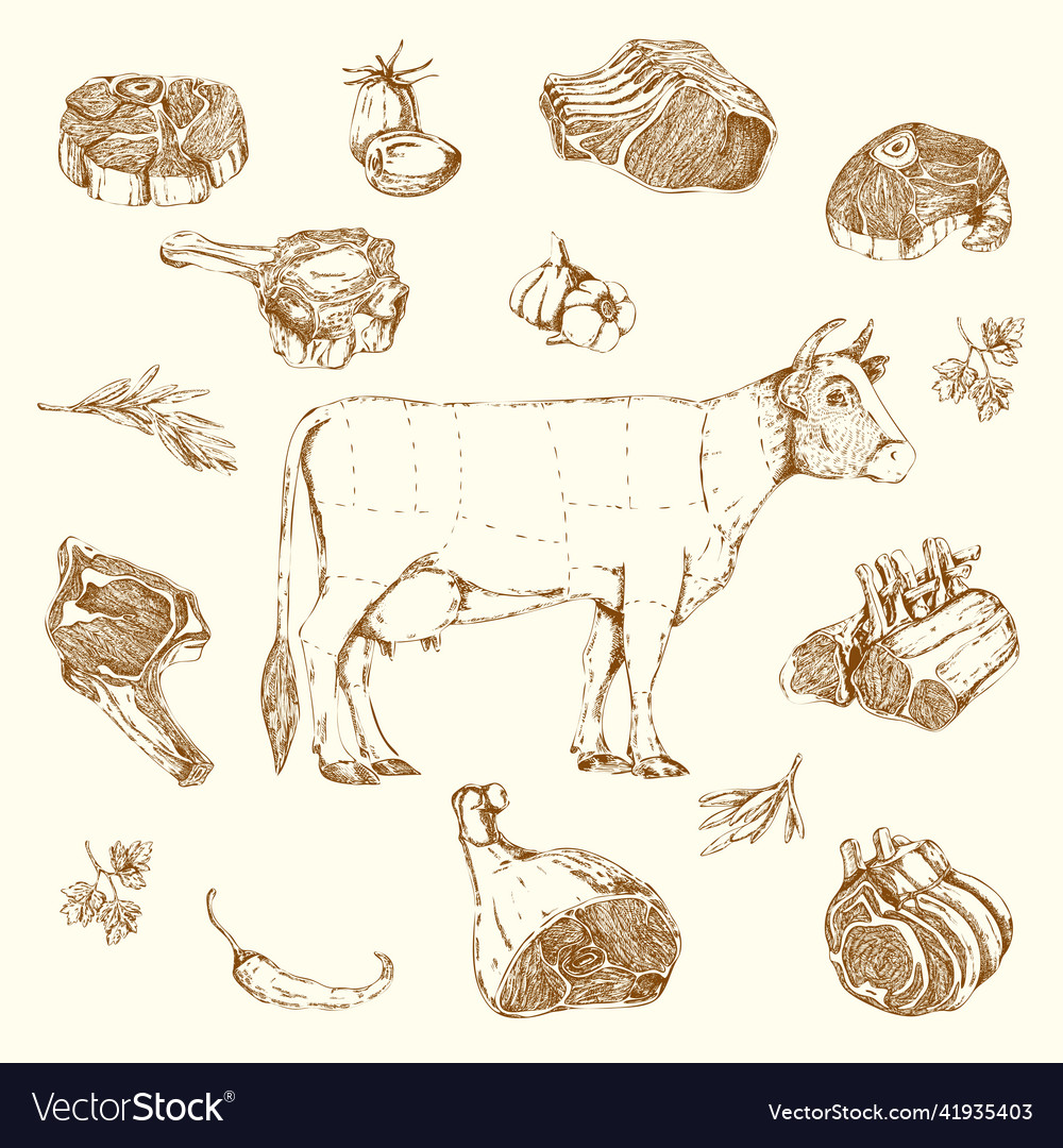 Meat hand drawn elements set Royalty Free Vector Image