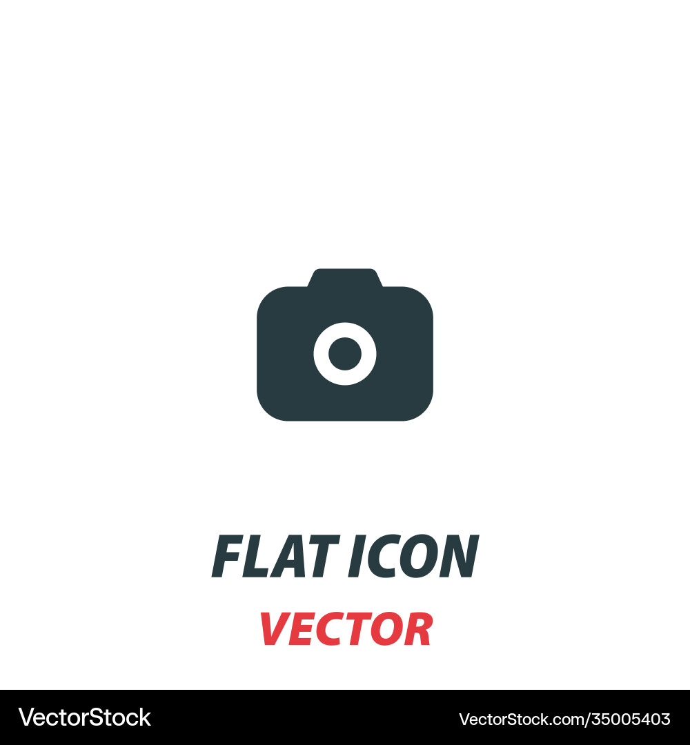 Photo camera icon in a flat style pictograph Vector Image