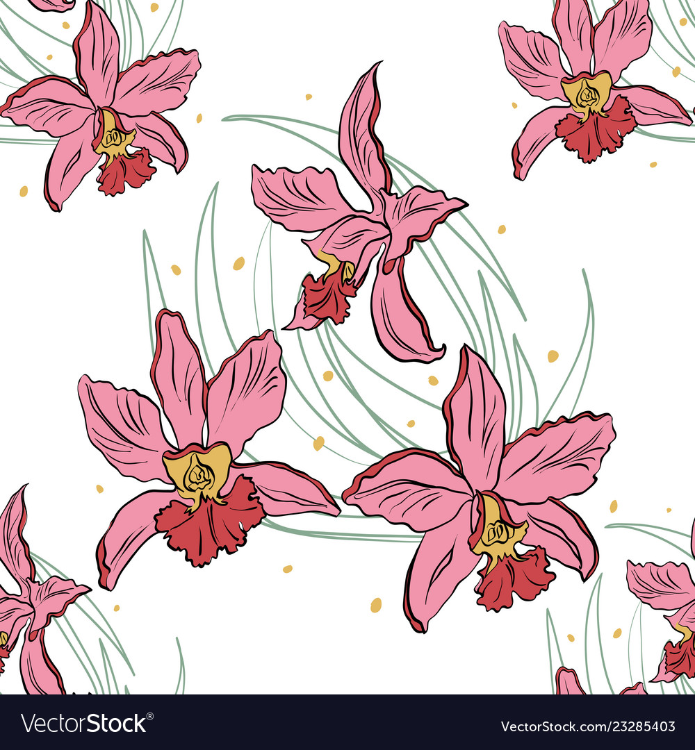 Seamless Pattern Pink Orchids Royalty Free Vector Image