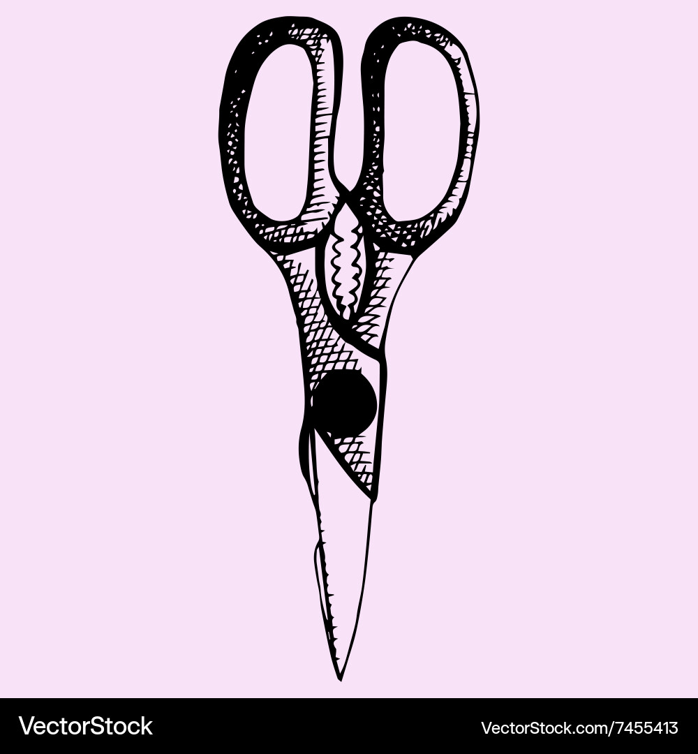 Cooking scissors Royalty Free Vector Image - VectorStock