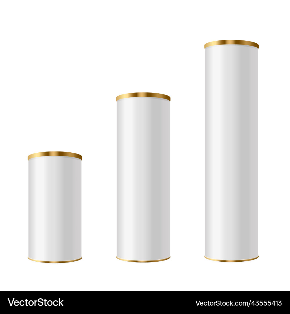 Cylinder tube blank box templates realistic Vector Image