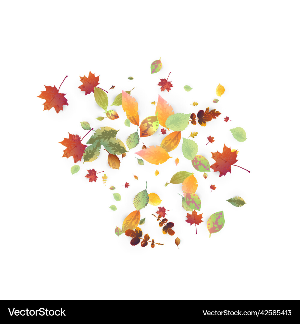 Leaves falling autumn foliage chaotic leaf flying Vector Image