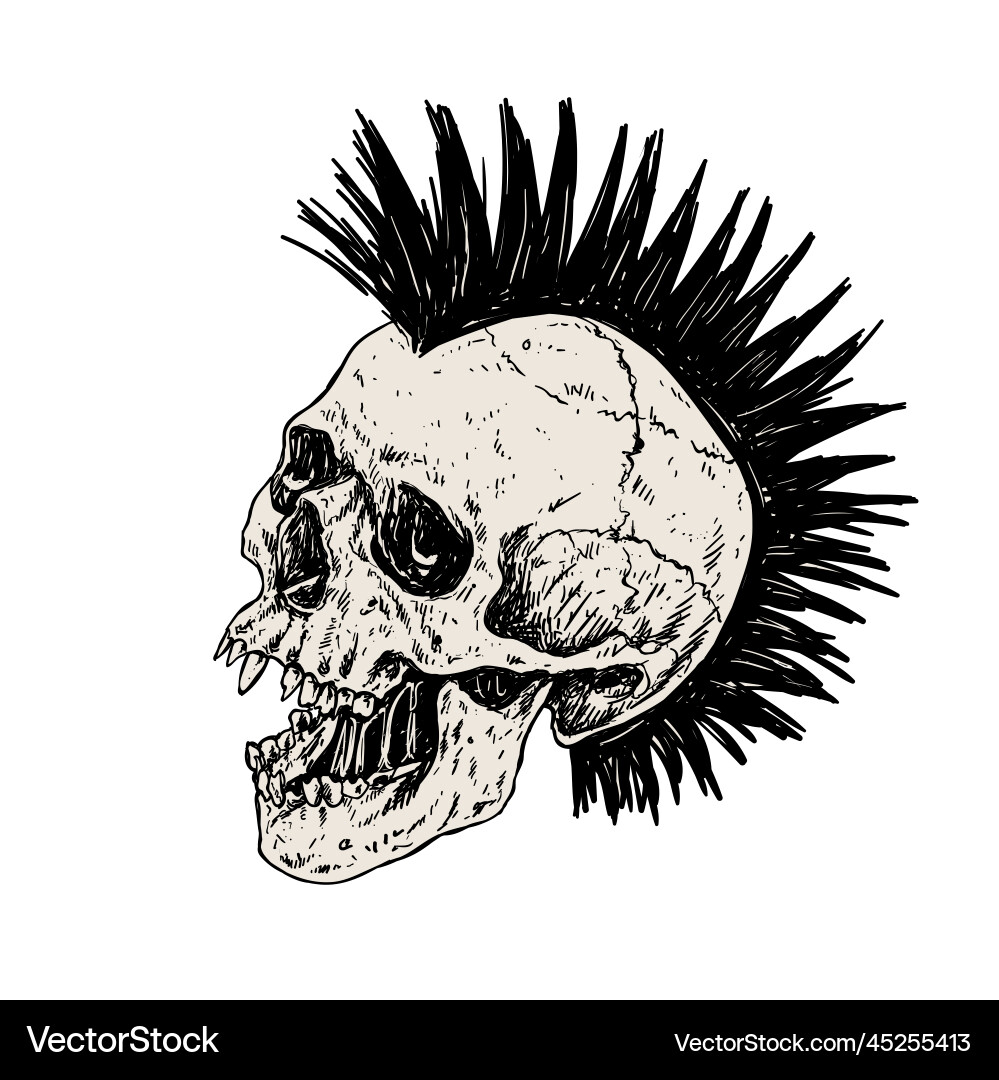Punk skull with mohawk hair Royalty Free Vector Image