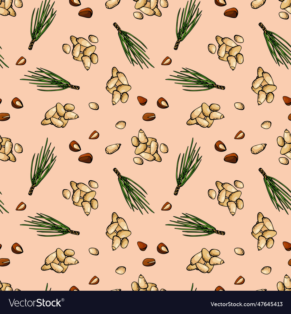 Seamless pattern with pine nuts Royalty Free Vector Image
