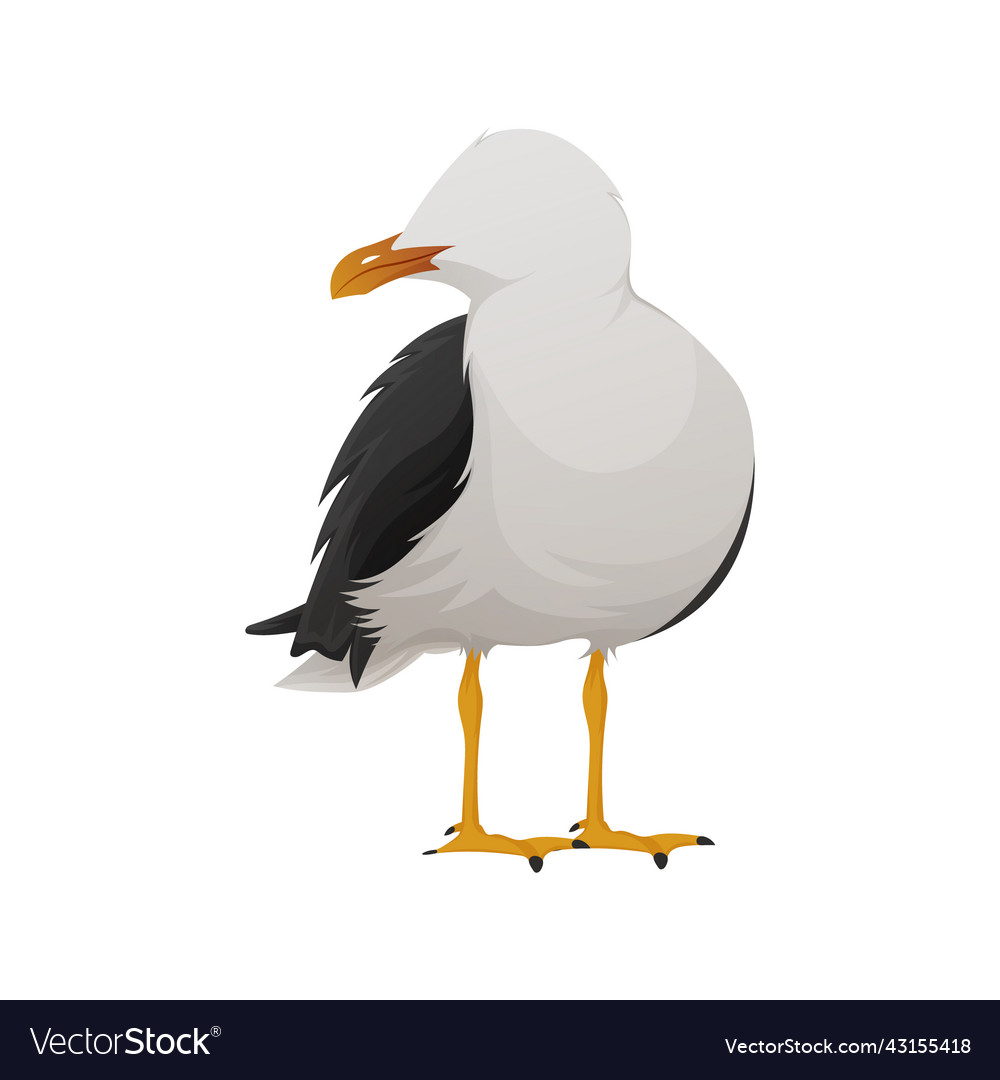 Seagull cartoon style seabird wildlife Royalty Free Vector Seagull cartoon style seabird wildlife Royalty Free Vector