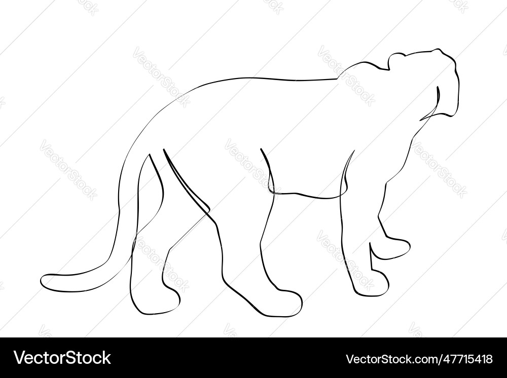 Simple hand draw sketch tiger or big deer Vector Image