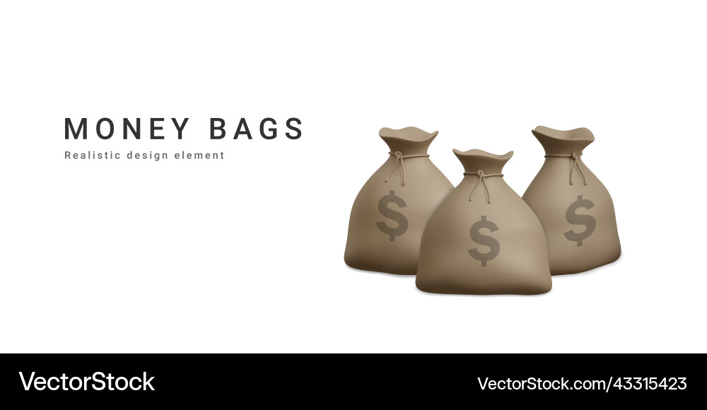3d realistic money bags Royalty Free Vector Image