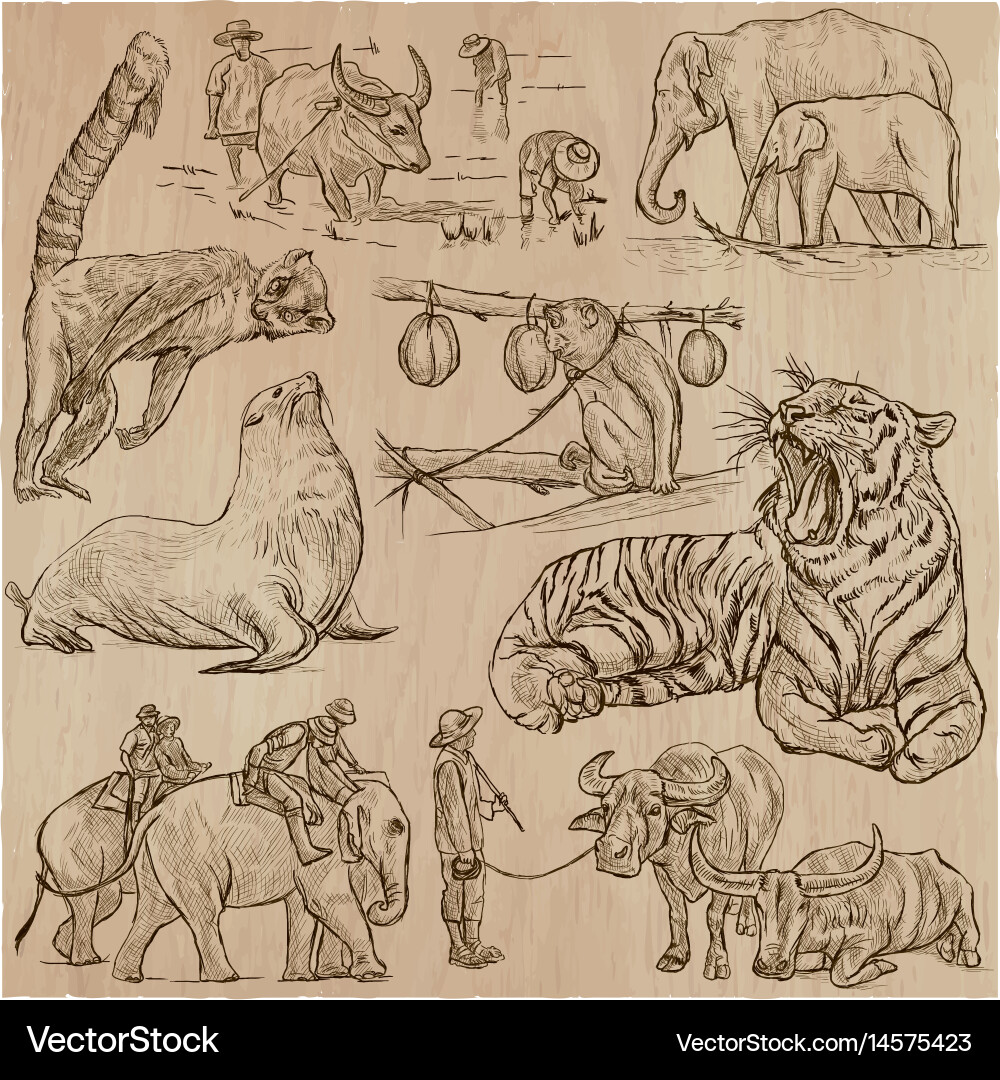 Animals - an hand drawn pack collection Royalty Free Vector