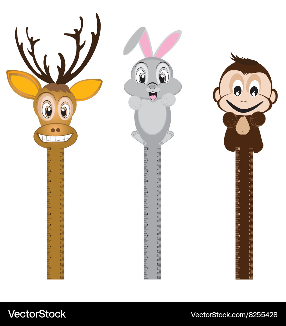 Animal on A Ruler isolated on white background Vector Image