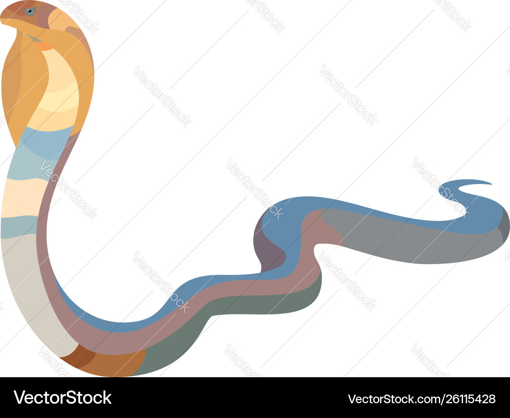 Cobra snake icon isolated on white background Vector Image