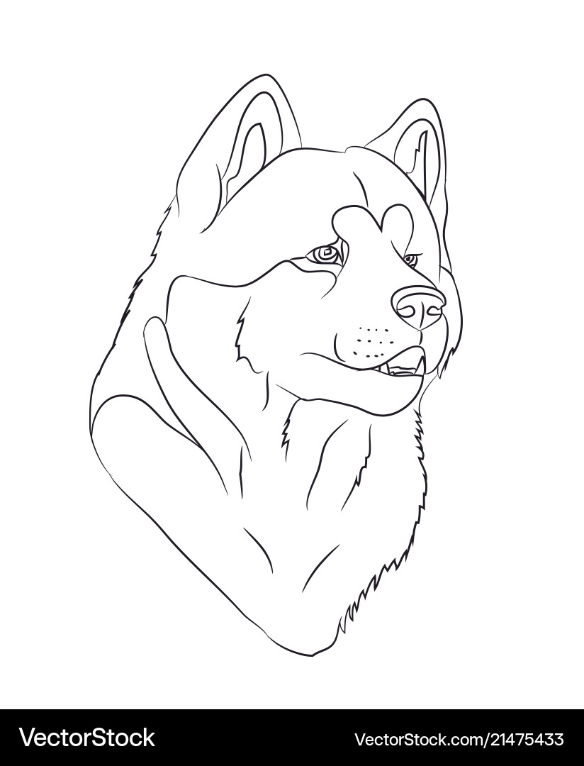 Dog portrait lines Royalty Free Vector Image - VectorStock