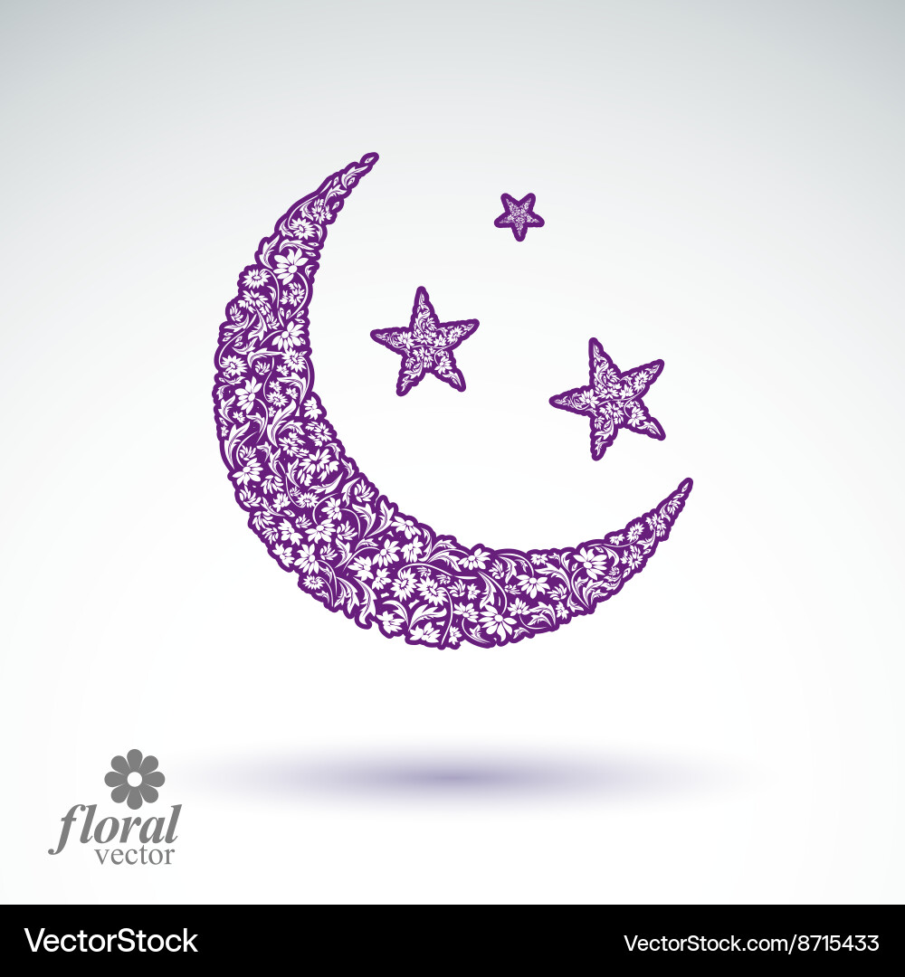 New moon placed on a starry sky beautiful art Vector Image