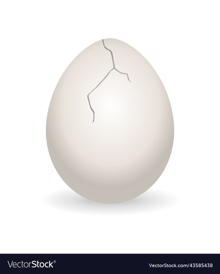 Cracked egg eggshell cracking stage realistic Vector Image