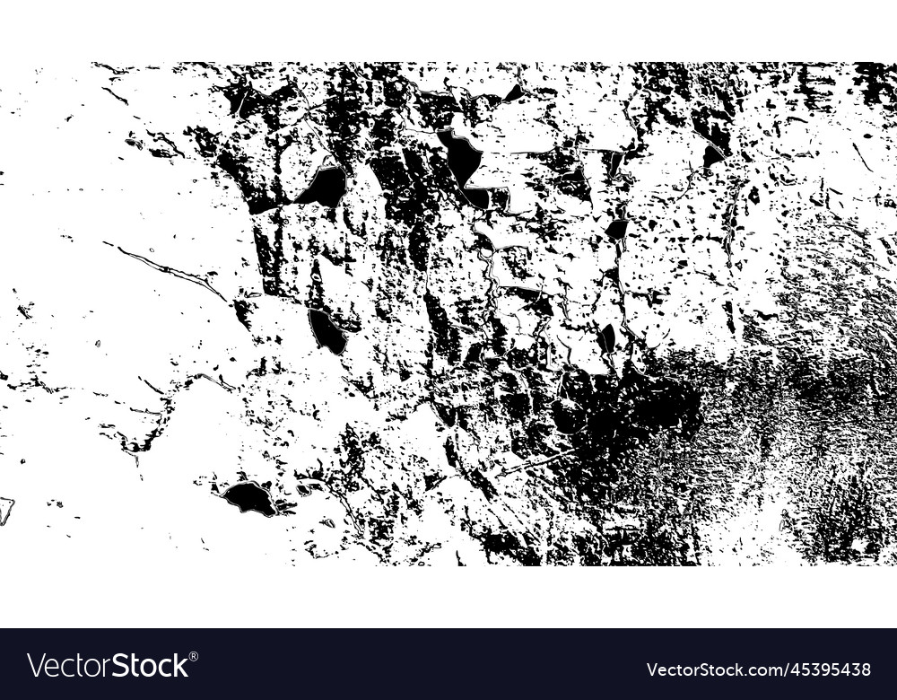 Grunge pattern black white texture Royalty Free Vector Image