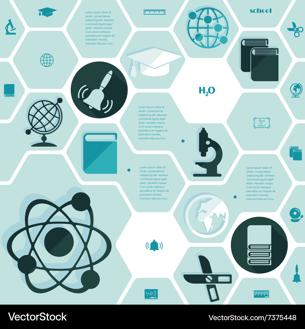 Education Flat Infographic Royalty Free Vector Image